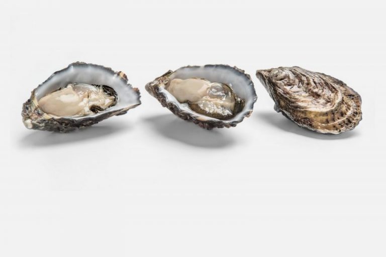 'Semahal' Harga & Khasiat Tiram Kepada Kesihatan Wanita. Kenali Jenis ...