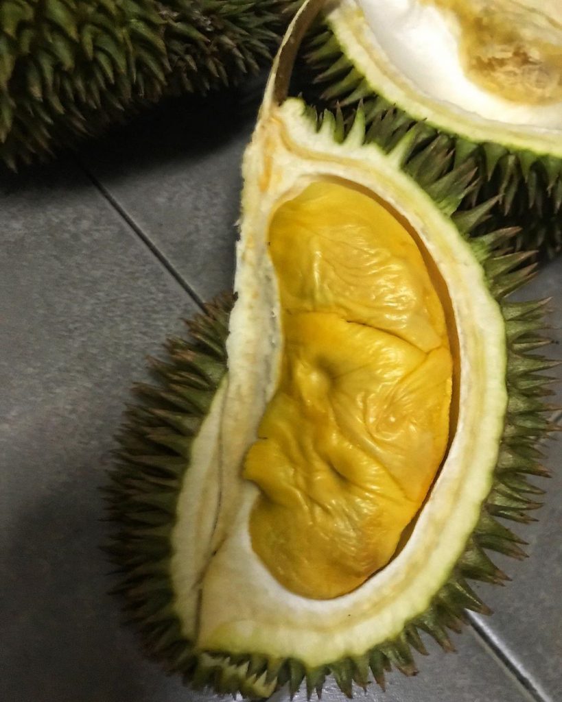 Kaya Sungguh JUTAWAN Dari Thailand Ni! Beli Sebiji DURIAN Sahaja ...