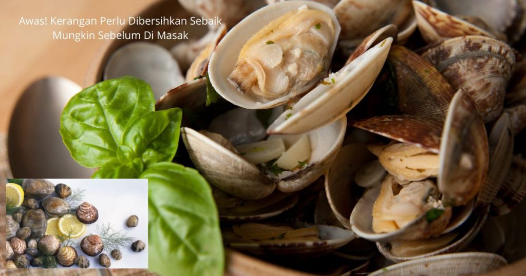 Makan Laut Bercengkerang, Tip Memilih dan Memasak Yang Perlu Anda Ketahui