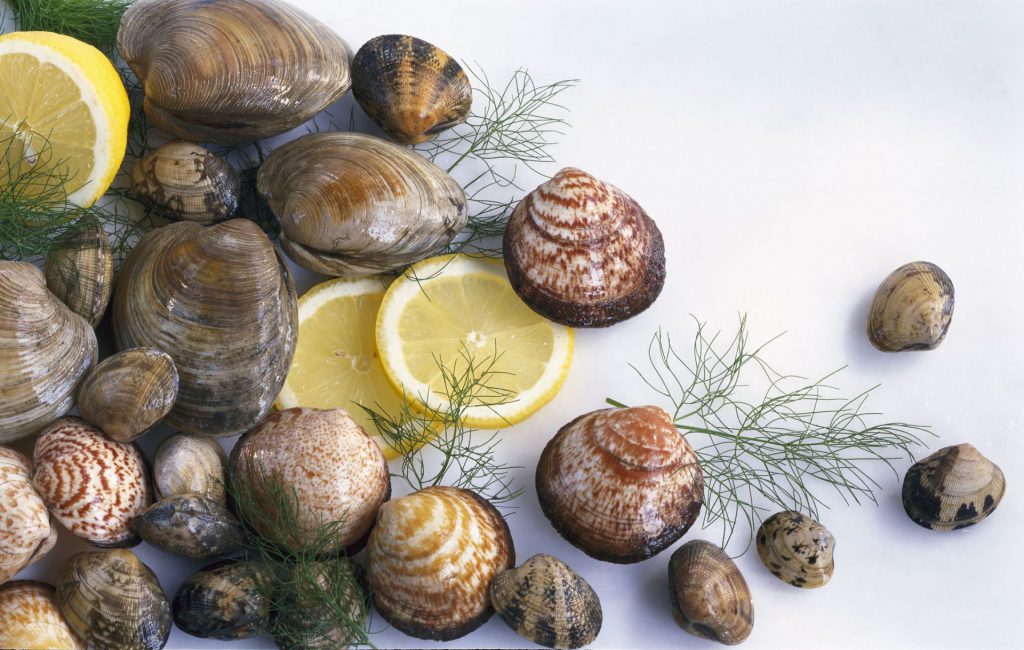 Makan Laut Bercengkerang, Tip Memilih dan Memasak Yang Perlu Anda Ketahui