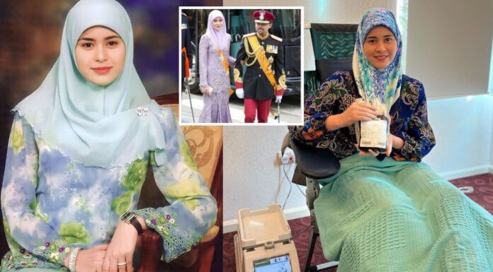 Jadi Penderma Darah Tetap, Pengiran Anak Sarah Personaliti Diraja ...